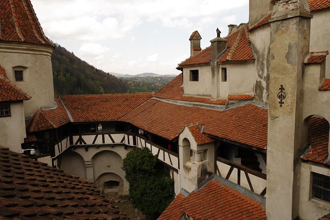 Transylvania with Dracula Castle, Bear Sanctuary and Brasov - Frequently Asked Questions