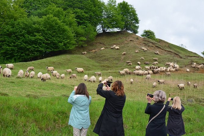 Transylvanian week - Frequently Asked Questions