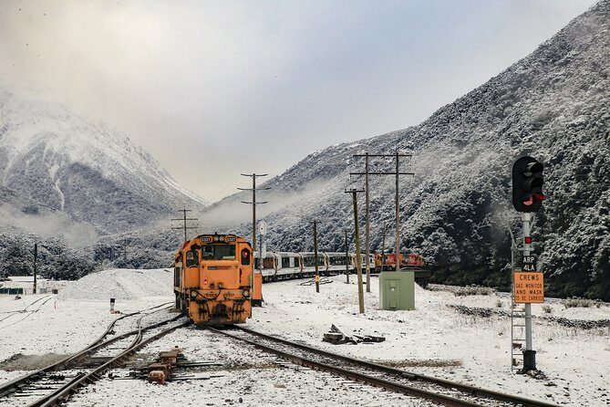 TranzAlpine Train Journey from Greymouth to Christchurch - Pricing and Value