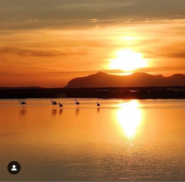 Trapani: Salt Pans Sunset Tour and Flamingo Way - Who Will Enjoy This Tour?