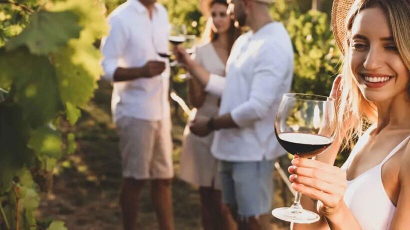 Trasimeno: Discovering Montemelino Wine Experience - Trasimeno: Discovering Montemelino Wine Experience — A Genuine Taste of Umbrian Charm