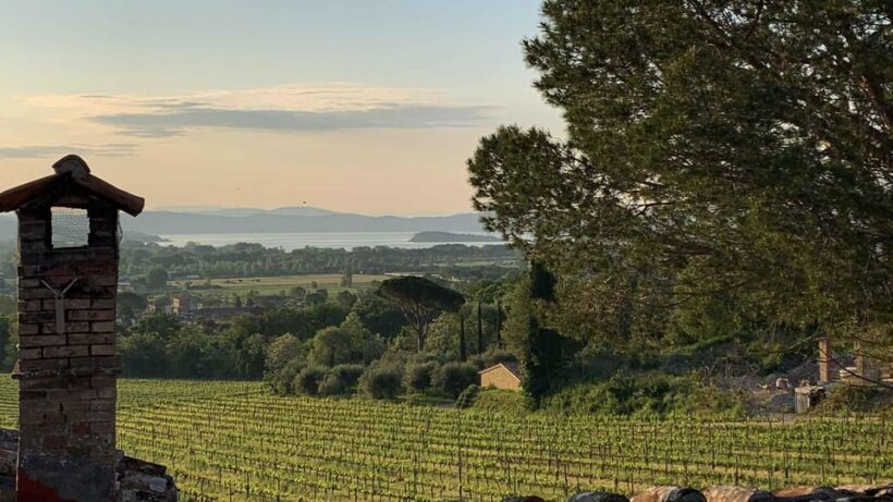Trasimeno: Discovering Montemelino Wine Experience - Who Should Consider This Experience?