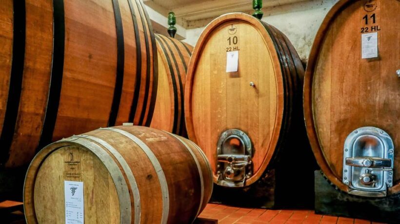 Trasimeno: Light Lunch, Oil, And Wine Experience - The Atmosphere and Setting