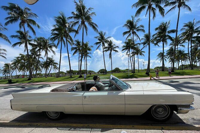 Traveler's Guide to Experience Miami 6-hour Tour - A Deep Dive into the Miami Experience