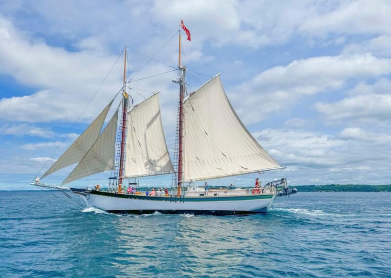 Traverse City: Afternoon Sailing Adventure on a Tall Ship - The Itinerary: What to Expect