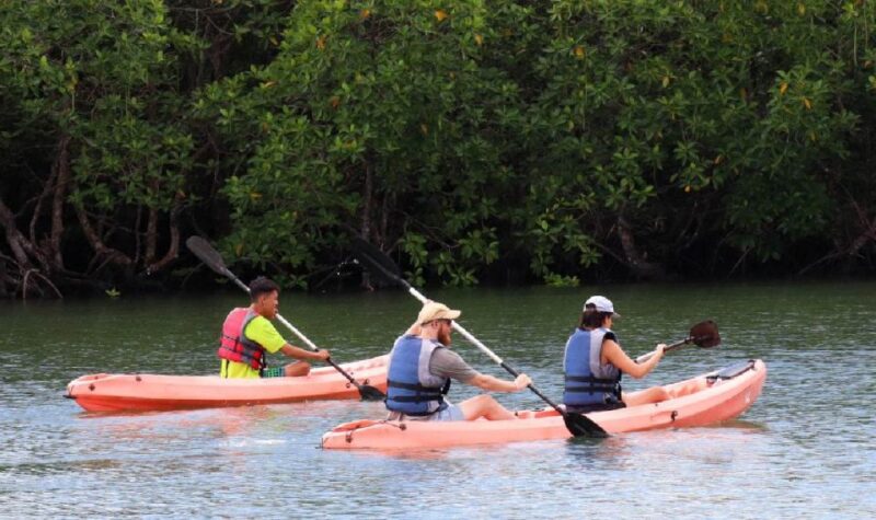 Treasure Bay Bintan Island Resort: 1-Day Entry Ticket - Transportation and Accessibility