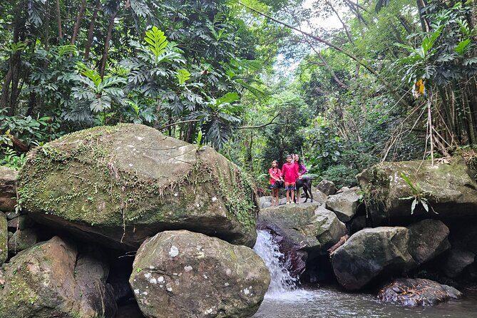 Treasure Hunt Adventure Hike and Discover Your Own Treasure - Authentic Experience and Unique Appeal