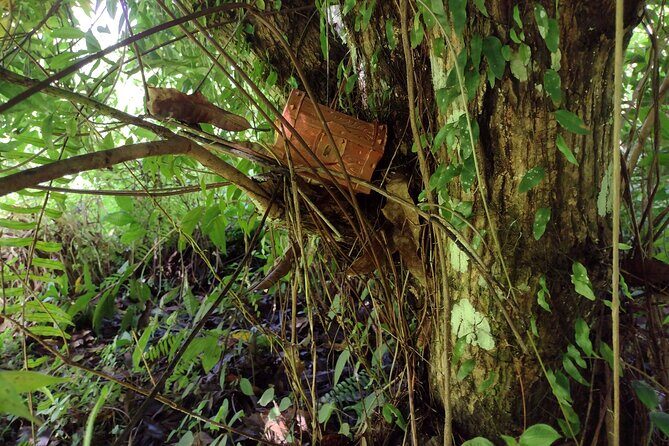 Treasure Hunt Adventure Hike and Discover Your Own Treasure - Who Should Consider This Tour?