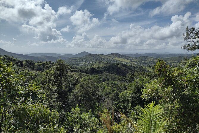 Treasure Hunt Adventure Hike and Discover Your Own Treasure - FAQ