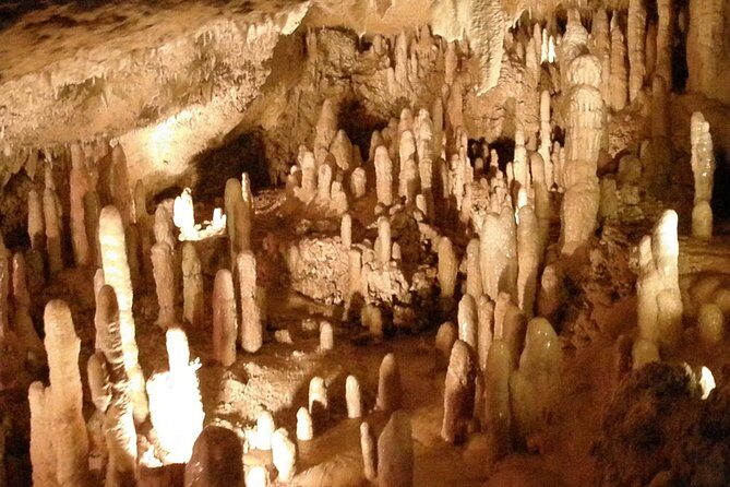 Treasures of Barbados Cave and Plantation Sightseeing Tour - Key Points