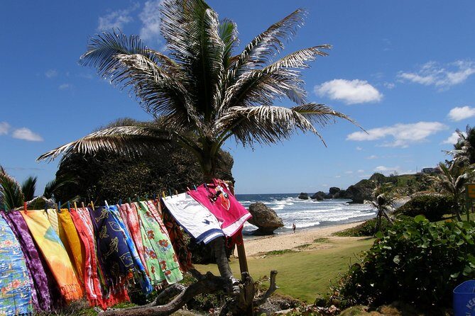 Treasures of Barbados Cave and Plantation Sightseeing Tour - Practicalities and What to Expect