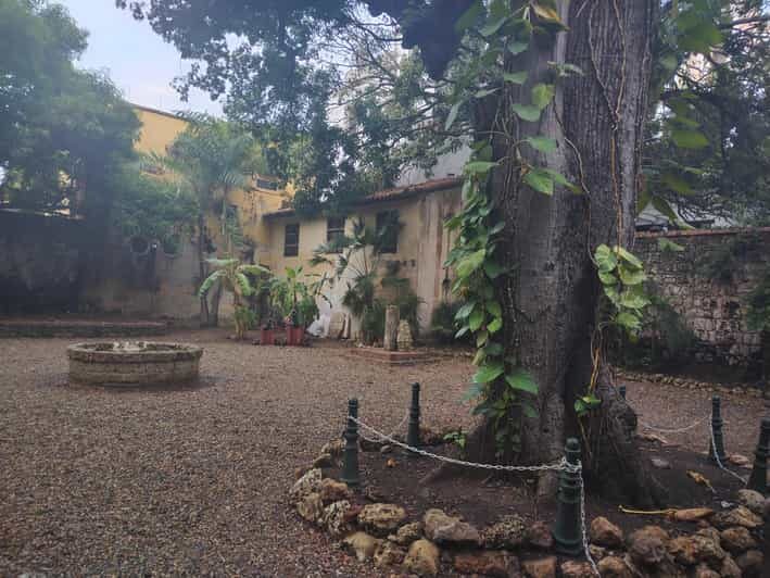 Treasures of Cartagena: Museum Expedition - An In-Depth Look at the Tour Experience