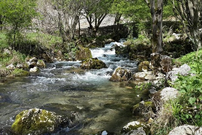 Treasures of Eastern Serbia Private Tour - Zdrelo Spa