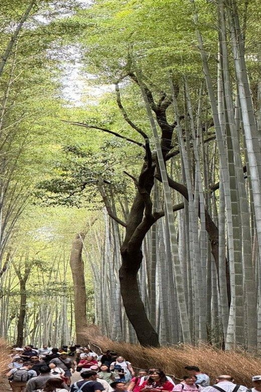 Treasures of Kyoto: Gion & Historical Walking Tour - Customer Feedback