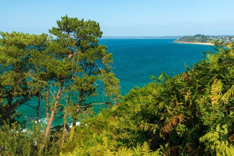 Trebeurden : Tour en bateau dans la baie de Lannion - Key Points