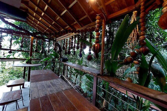 Tree Bridge Cafe And Zipline - Jungle Flight Adventure in Koh Samui - FAQs About Tree Bridge Cafe And Zipline