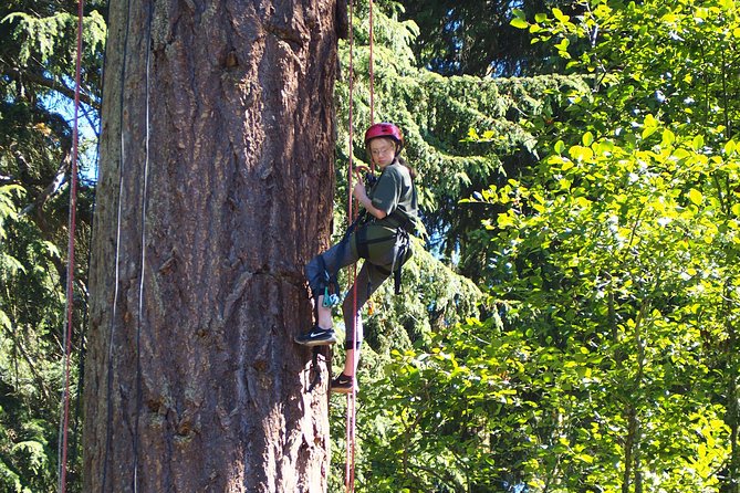 Tree Canopy Climbing on Lopez Island - Preparing for the Adventure