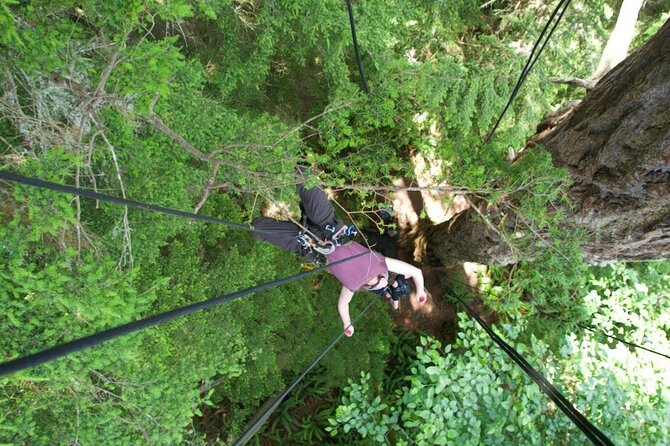 Tree Canopy Climbing on Lopez Island - Safety Protocols and Equipment