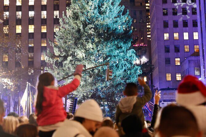 Tree Lighting Ceremony Indoor Viewing from 45 Rockefeller Center - Who Should Consider This Experience?