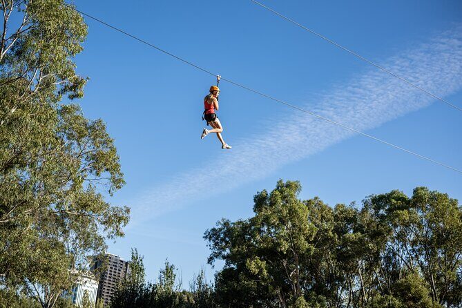 Tree Top Activity for Thrill Seekers and Adventurers in Adelaide - An Overview of the Adelaide TreeTop Adventure Experience