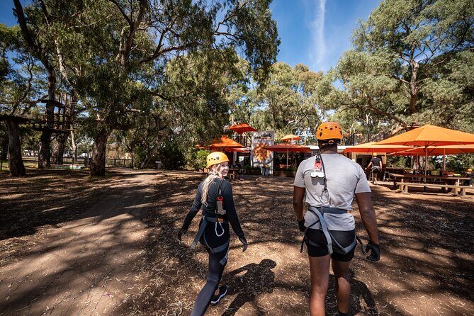 Tree Top Activity for Thrill Seekers and Adventurers in Adelaide - Who Would Love This?