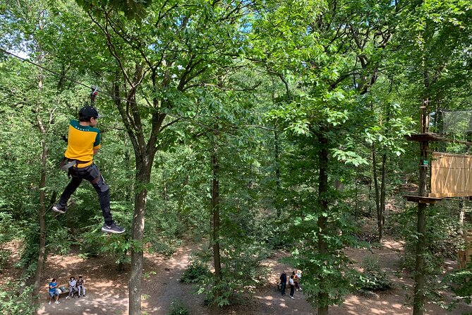 Tree Top Adventure in Forest of Meudon - The Booking Process and Practicalities
