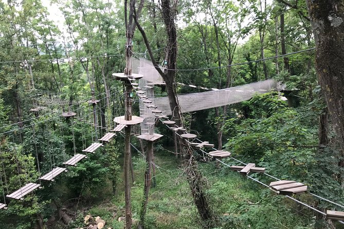 Tree Top Adventure in Rueil-Malmaison - Booking and Confirmation Process