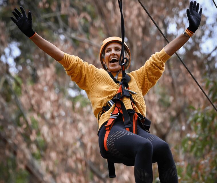 TreeClimb Kuitpo Forest: Exciting Treetop Climbing Adventure - Key Points