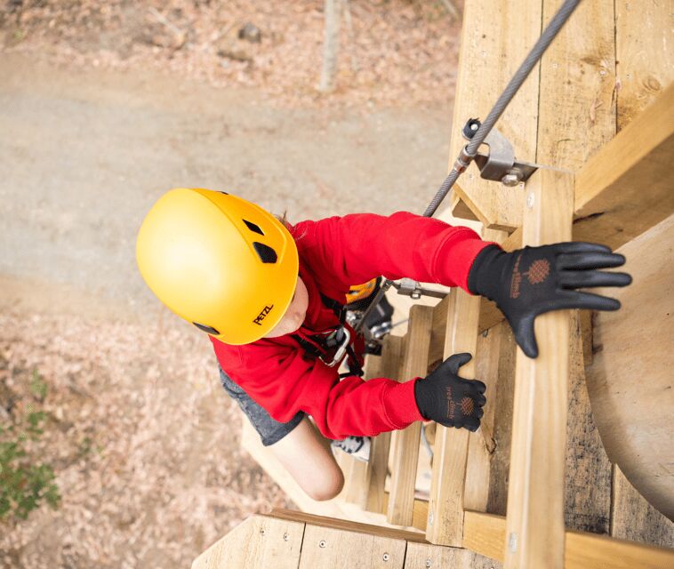TreeClimb Kuitpo Forest: Exciting Treetop Climbing Adventure - The Ideal Audience