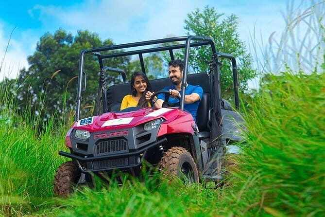 Treehouse stay in munnar - Exploring the Tour: What You Can Expect