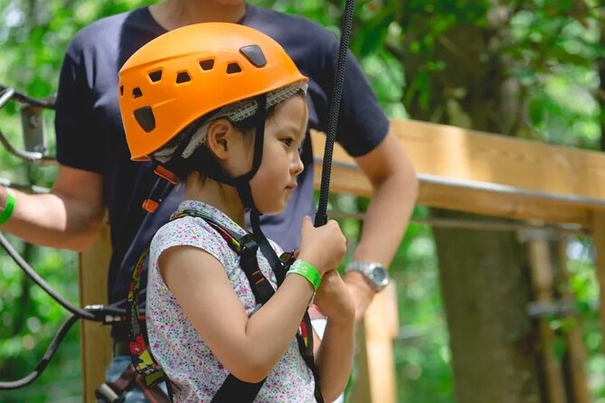 Treetop adventure course in Jablines - Exploring the Treetop Adventure Course in Jablines