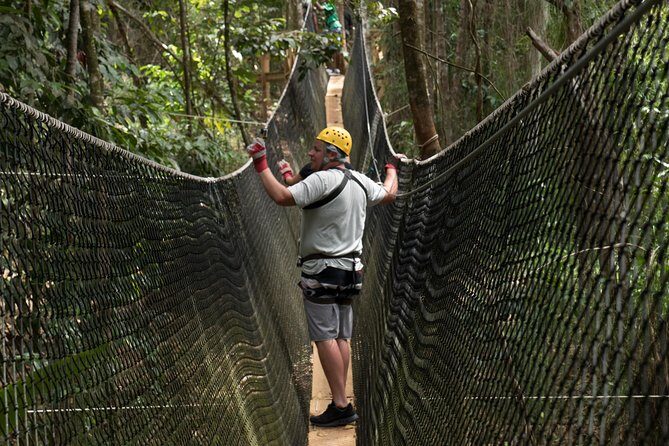 Treetop Adventure Park Canopy Tour - Treetop Adventure Park Canopy Tour: A Thrilling Journey Through St. Lucia’s Rainforest