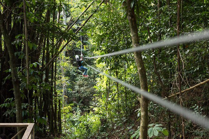 Treetop Canopy Adventure - Key Points