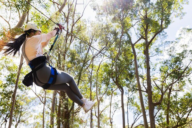 Treetop Challenge Adrenaline Pass - Key Points