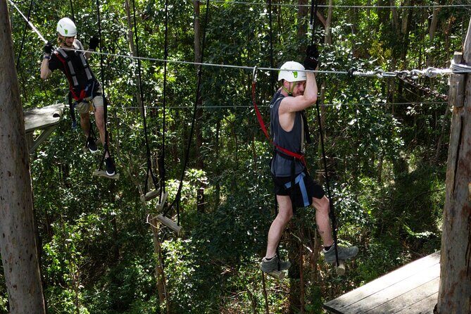 Treetop Challenge Adrenaline Pass - What to Expect from the Treetop Challenge Adrenaline Pass