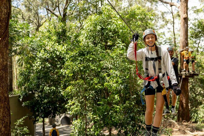 TreeTop Challenge Currumbin Wildlife Park - TreeTop Challenge Currumbin Wildlife Park: A Heart-Pumping Adventure Above the Canopy