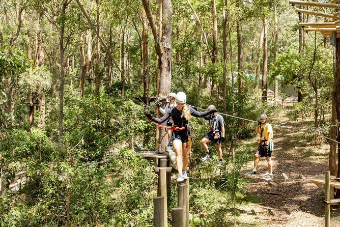 TreeTop Challenge Currumbin Wildlife Park - Key Points