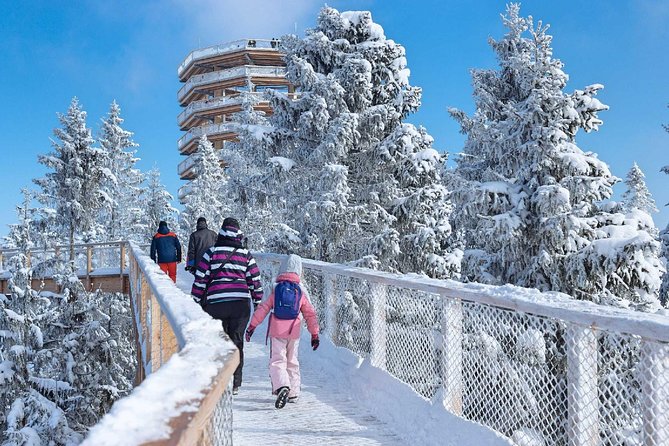 Treetop Walk in Slovakia and Thermal Baths from Krakow - What the Tour Includes and What to Budget For
