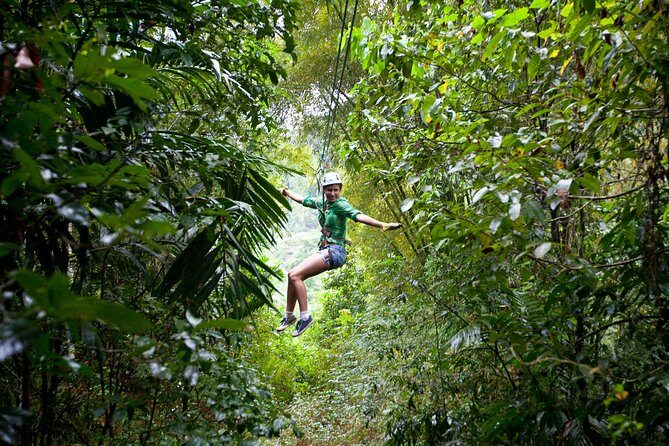 Treetop Zipline Experience From Castries - A Closer Look at the Treetop Zipline Adventure