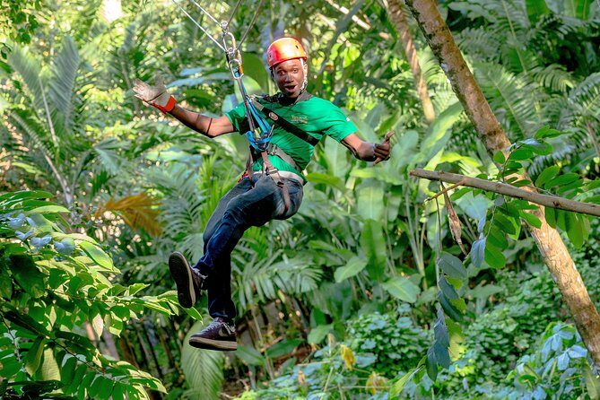 Treetop Zipline Experience From Castries - FAQ