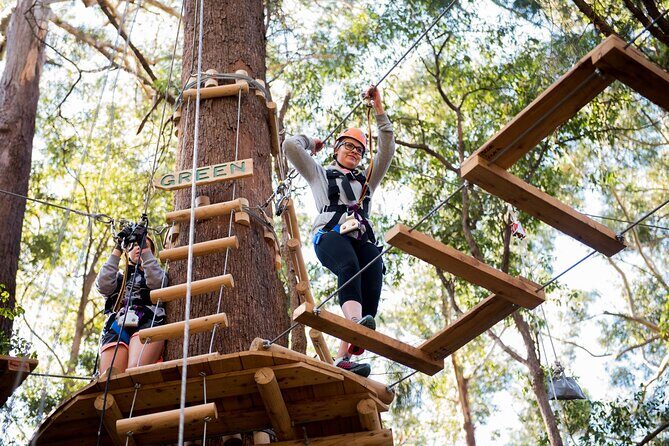 Treetops Adventure Coffs Harbour Tree Ropes Course - A Closer Look at the Experience