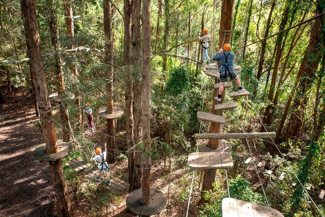 Treetops Adventure Newcastle with Tree Ropes Course - Getting There and Meeting Points