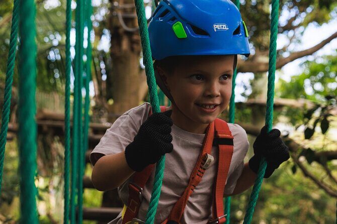 Treetops Adventure The Hills Junior Ropes Course - The Practical Details: Duration, Pricing, and Group Size