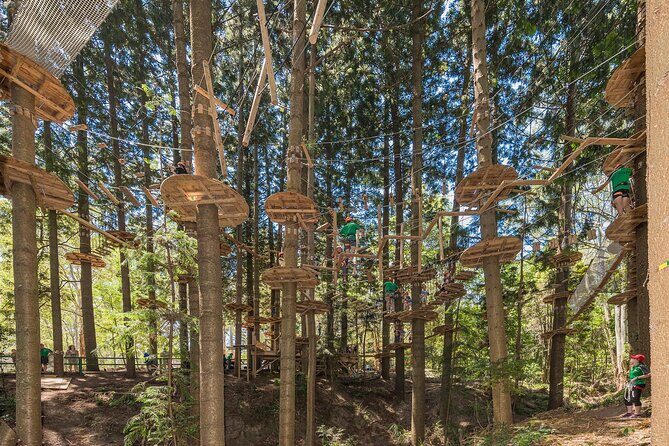 Treetops Adventure The Hills - Tree Ropes Course - Key Points