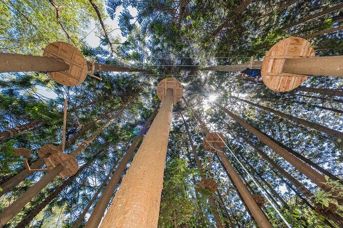 Treetops Adventure The Hills - Tree Ropes Course - Analyzing the Value