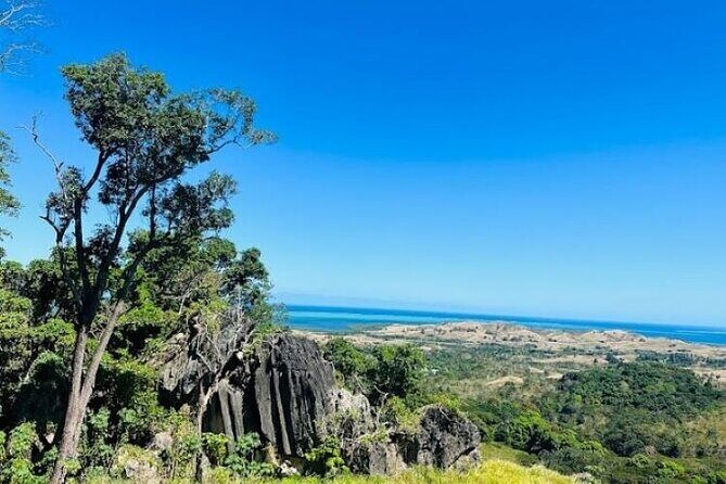 Treetops Zipline Tour with Drop off Transfer to Nadi Airport - An In-Depth Look at the Treetops Zipline Experience