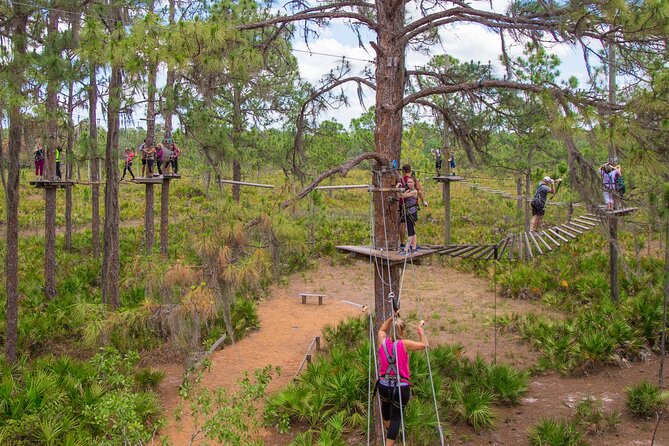 TreeUmph Adventure Course - Introducing the TreeUmph Adventure Course in Sarasota