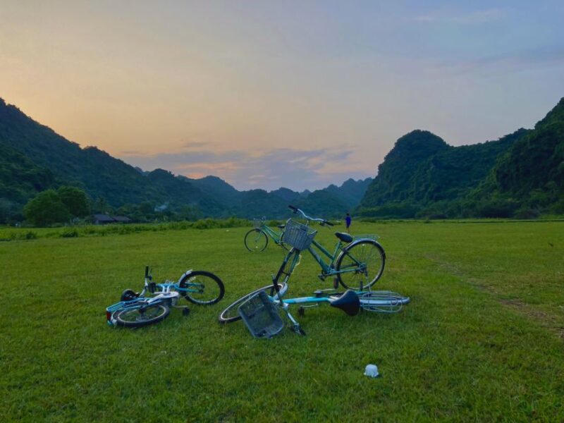 Trek and Kayak: Cat Ba National Park 1 Day Adventure - Who Will Love This Tour?