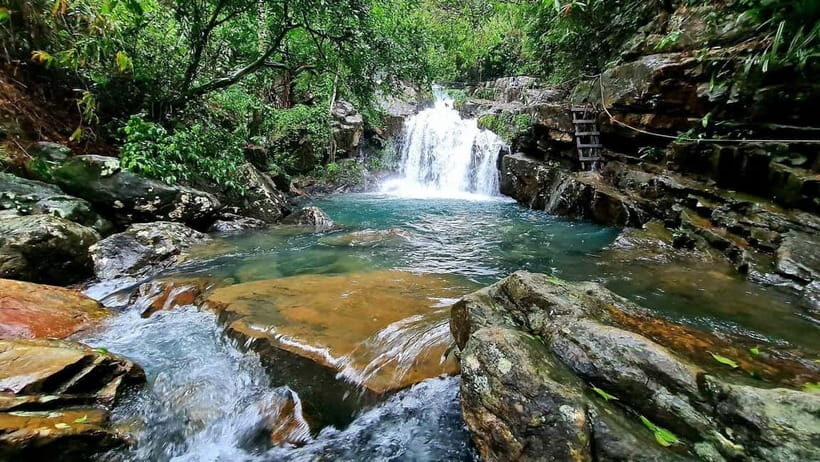 Trek Botanic Garden & Discover Phong Nha Cave Boat Tour - A Practical Introduction to the Tour