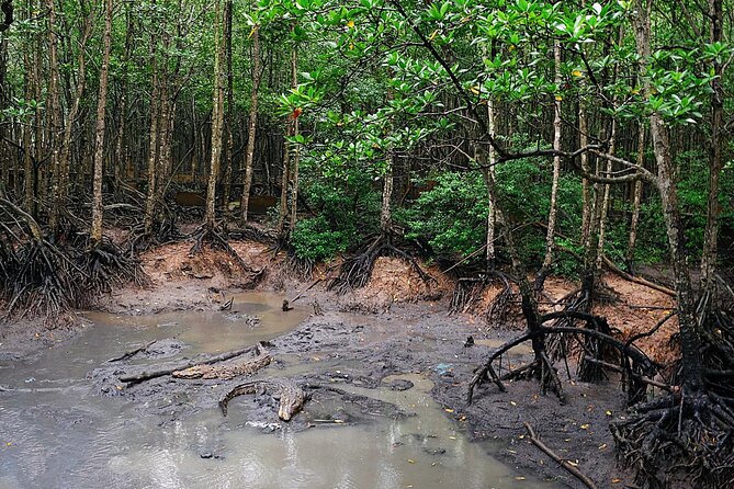 Trek Can Gio Mangrove, Monkey Island with Croc Farm & Cano Option - FAQ: Your Practical Questions Answered